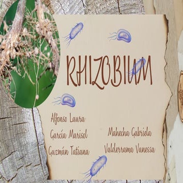 Rhizobium.pdf