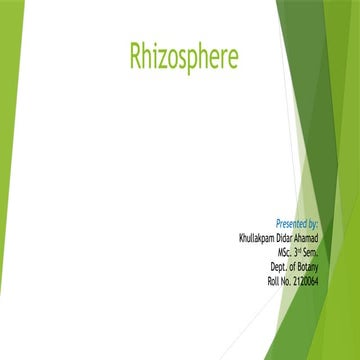 Rhizosphere-1.pptx Rhizosphere effect in plant pathology | PPTX
