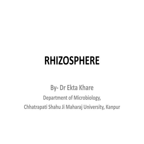 Rhizosphere.pdf meaning importance...... | PDF