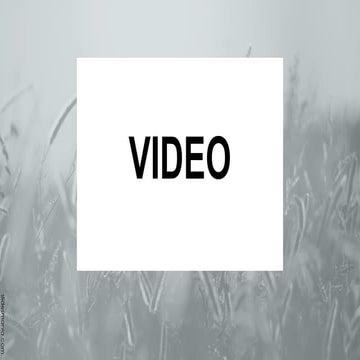 Reproductive Health Law | PPTX