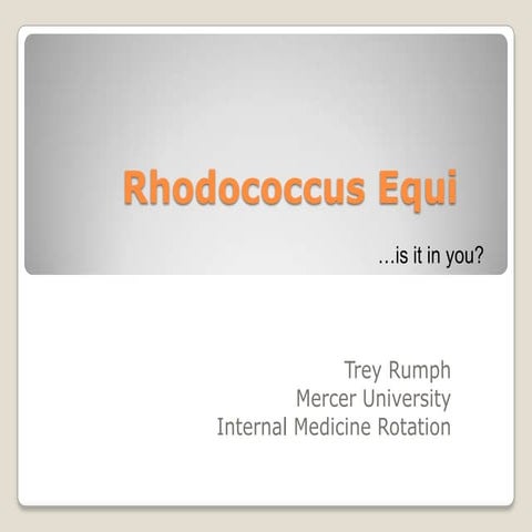 Rhodococcus equi | PPT