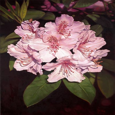 Rhododendron 2 | PDF | Parks | Attractions