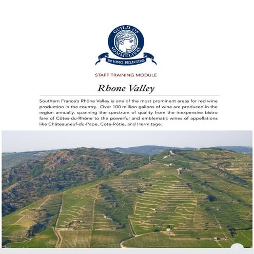 Rhone Valley - Guild of Sommeliers | PDF | Alcoholic Beverages | Food ...