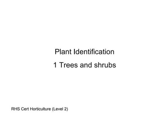 Rhs 2 Plant Idents Ground Cover | PPT