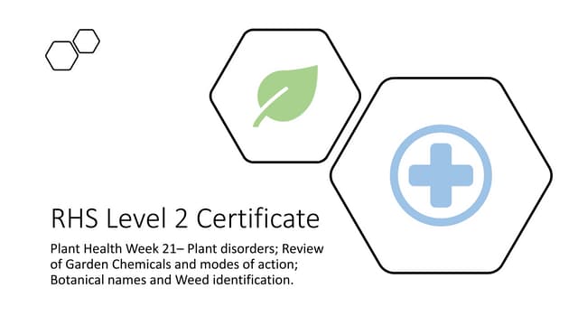 Rhs level 2 year 1 week 2