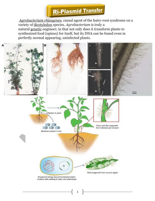 Plasma Membrane & its Composition Detailed Notes for B.Sc. & M.Sc ...