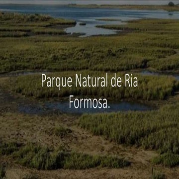 Ria Formosa | PPTX