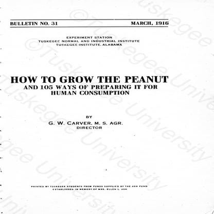 Bulletin #31 How to Grow the Peanut | PDF