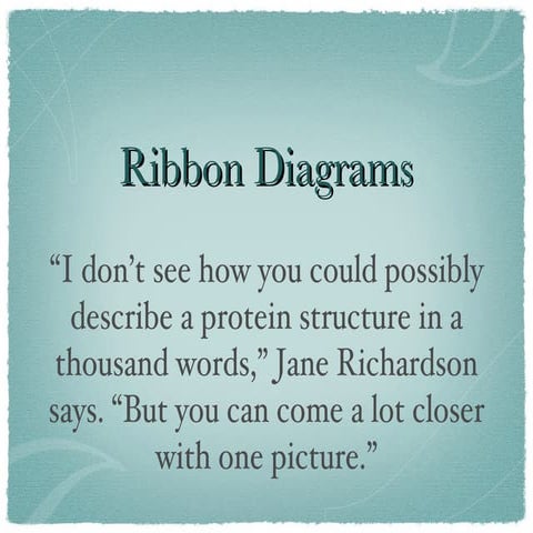 Ribbon Diagrams | PPT