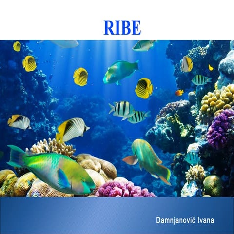 Gradja biljaka | PPTX