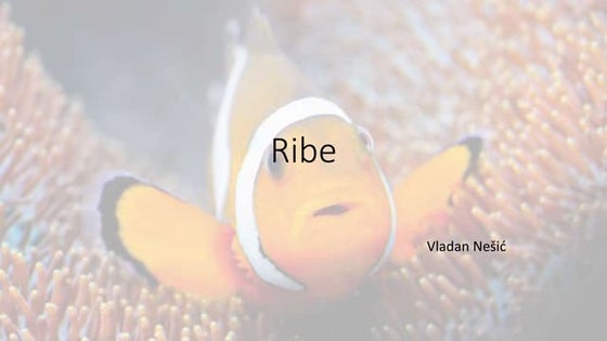 Gmizavci, građa, raznovrsnost i značaj | PPT