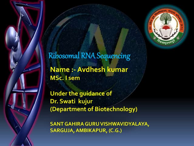 16 s rRNA Gene Sequencing for Bacterial Identification | PPTX
