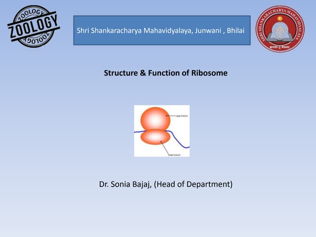 Ribosome ppt (introduction structure & Function) | PPTX