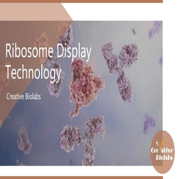 Ribosome Display Technology - Creative Biolabs | PPTX