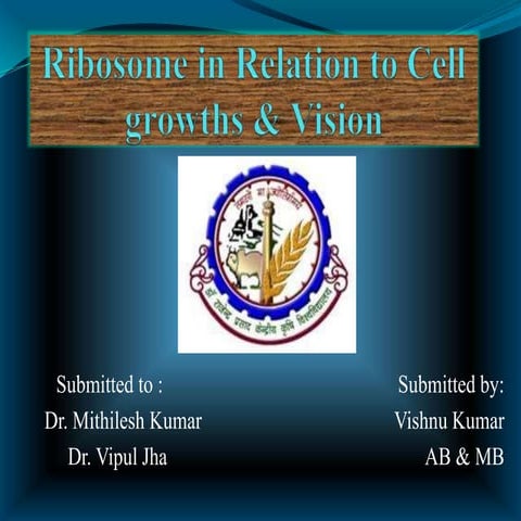 Ribosome in relation to cell growths & vision | PPTX