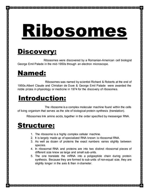 Ultra-structure of Ribosomes and functions | PPTX | Biological Sciences ...
