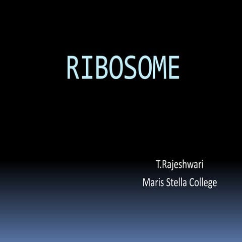 Ribosomes Ppt