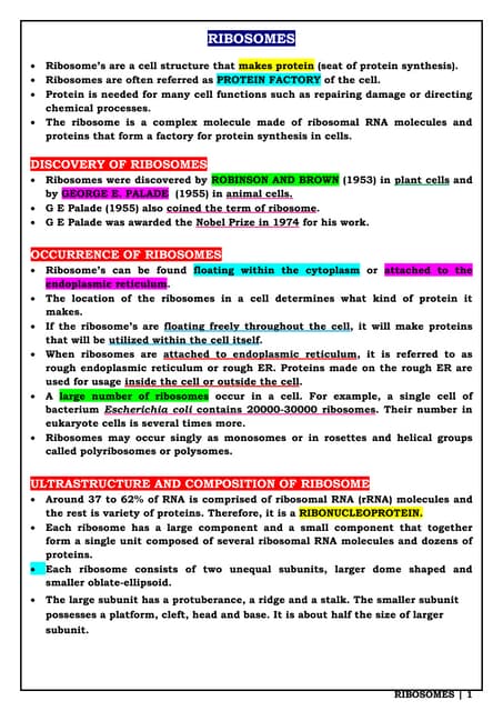 Ribosomes | PPT | Chemistry | Science
