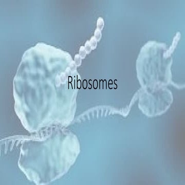 Short notes on ribosomes, importance, prokaryotic and eukaryotic ...