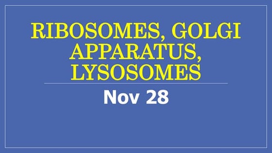 Lysosome & Mitochondria- Eukaryotic organless | PPT