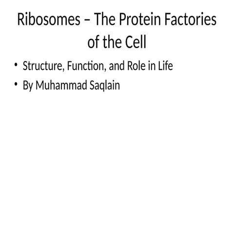 It's a presentation about Ribosomes_Presentation_by_Saqlain.pptx