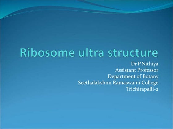 Mitochondria | PPTX | Biological Sciences | Science