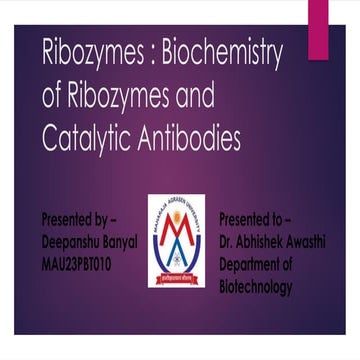Ribozymes : Biochemistry of Ribozymes and Catalytic Antibodies | PPTX