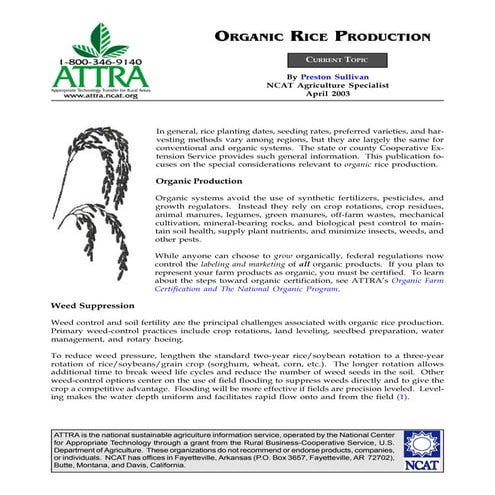 Organic Rice Production | PDF