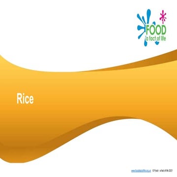 rice-1114pptfc.pptx