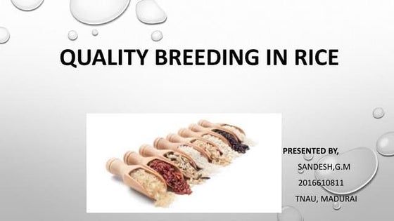 Quality seed production of pulses | PPT