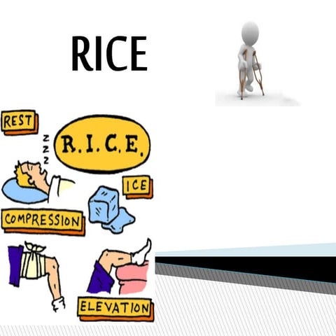 rice.ppt