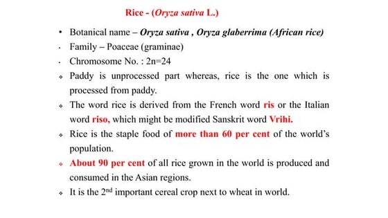 4 Growth Stages of the Rice Plant.ppt