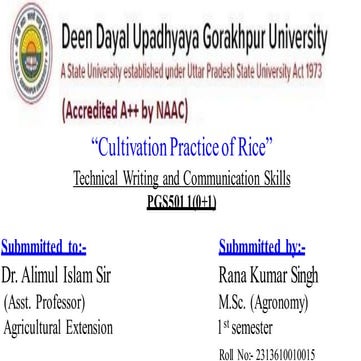 rice.pdf | Agriculture | Industries