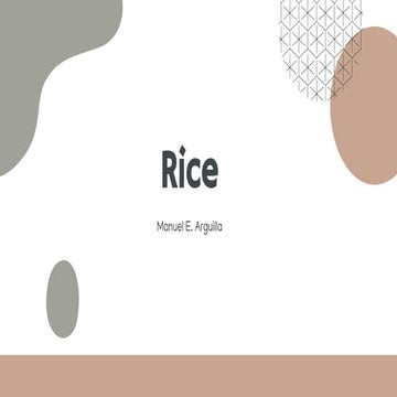 Rice.pptx
