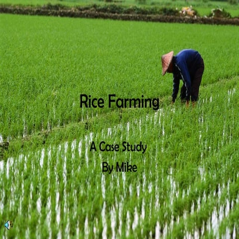 Rice Farming2 | PPT