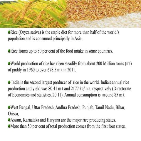 Rice Rice mill hammer mill backing machine | PPT