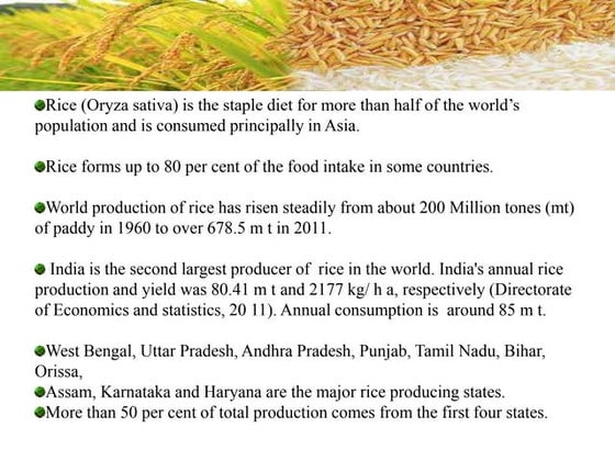 Parboiling of Rice | PPTX