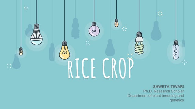 Seed quality testing | PDF