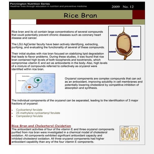 Health benefits of rice bran | PDF