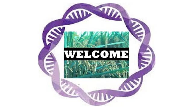 Rice Genome Project a complete saga .(1).pptx