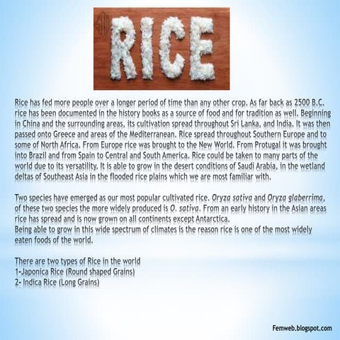 Rice information | PPTX