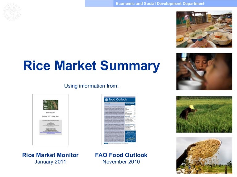 Rice Market Summary, November 2010