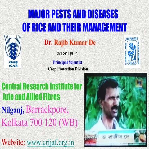 Rice case worm | PPTX