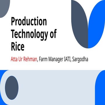 Rice | PPTX