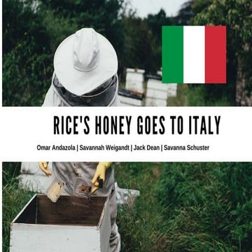 Rice's honey international marketing plan | PPT