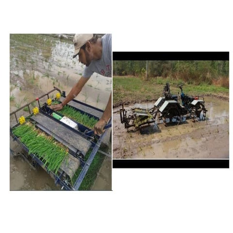 Rice Transplanting machinery power point.pptx