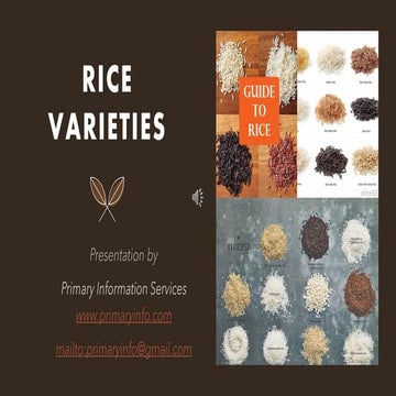 Rice varieties | PDF