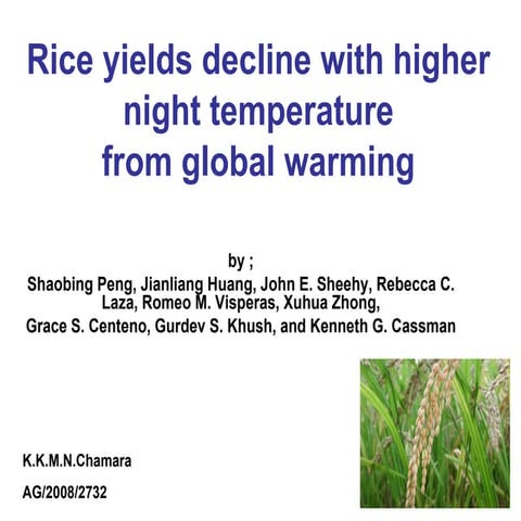Rice yields decline | PPT