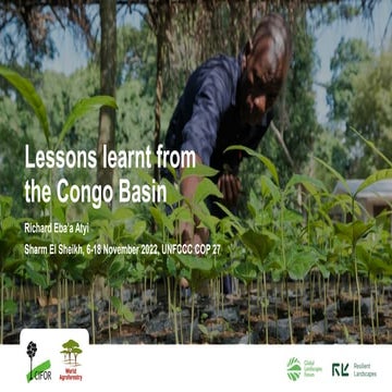 Lessons learnt from the Congo Basin | PDF