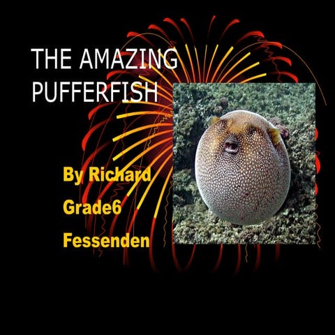 Richard walters awesome puffer | PPT